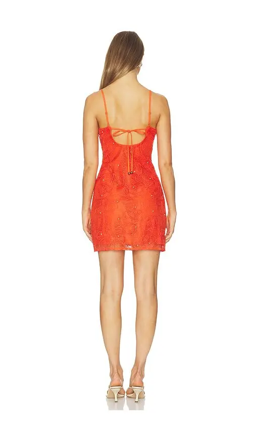 Steve Madden Maureene Dress