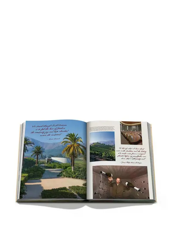 Assouline Wine & Travel Latin America Book