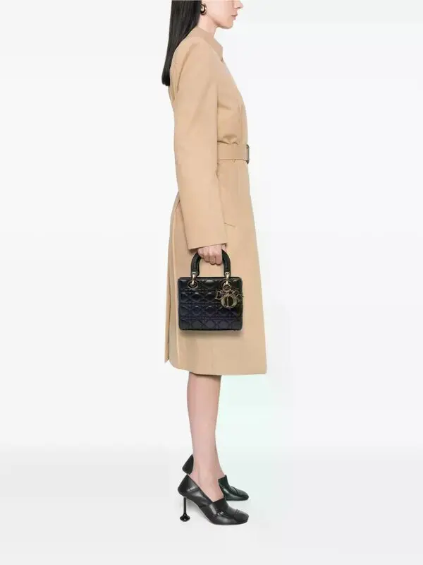 Dior Small Lady Satchel - Black