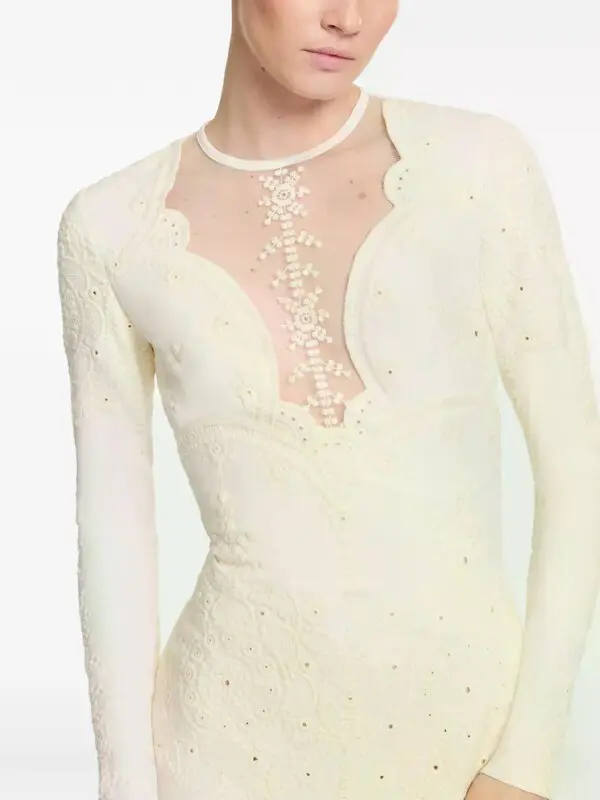Elie Saab Long Sleeve Appliqué Maxi Dress