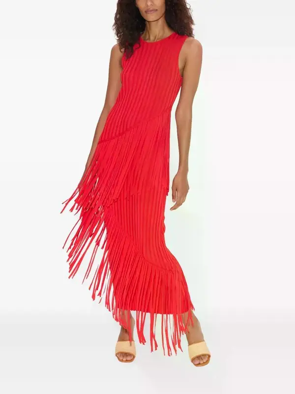 SIMONMILLER Spiral Maxi Dress With Fringe Detail