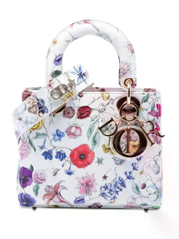 Dior Lady Satchel