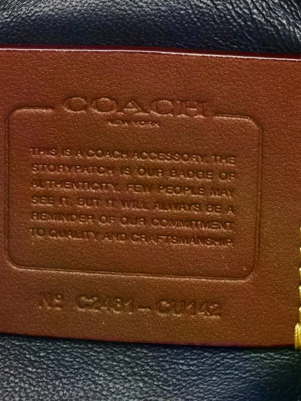 COACH Tabby 19 Tie-dye Crossbody Bag