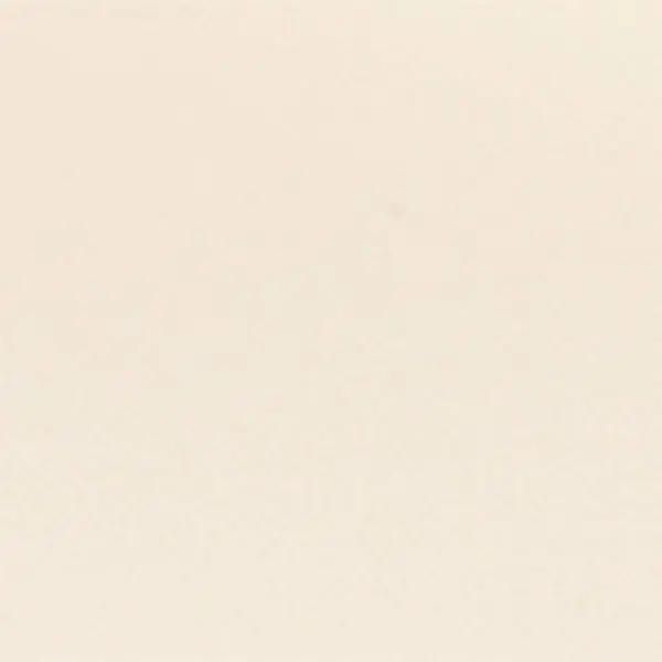 RIVIERE Leather Barcelona Tray