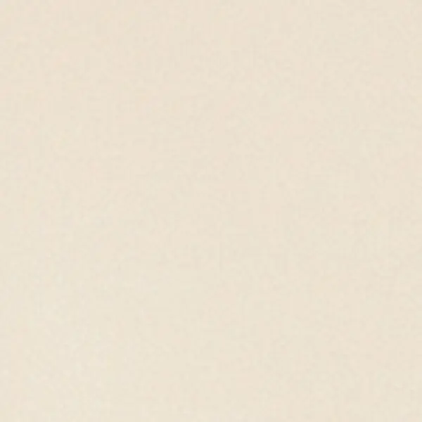 Max Mara Boxy Logo T-shirt