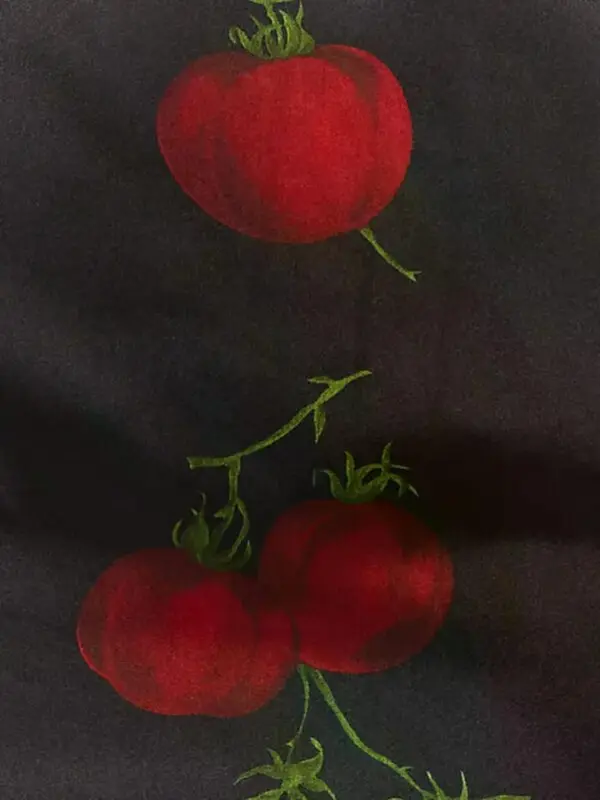 Dolce & Gabbana Tomato Print Midi Dress With Short Sleeves