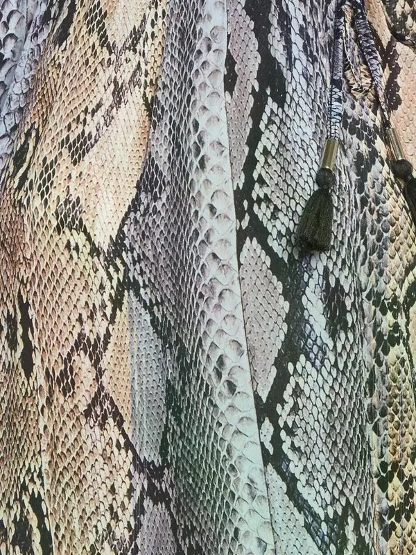 Just Cavalli Snake-print Sweater With Tassel Detail