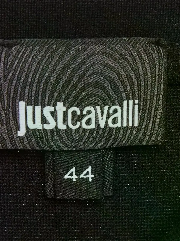 Just Cavalli Snake-print Sweater With Tassel Detail