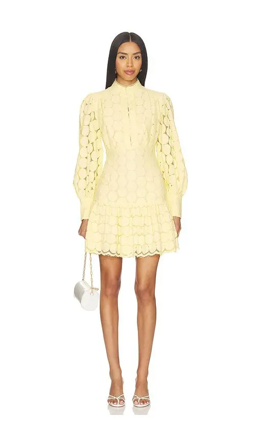 Bardot Remy Spot Lace Mini Dress