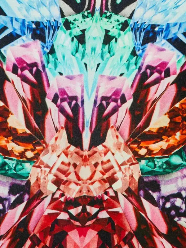 Just Cavalli Crystal Print Sweatshirt