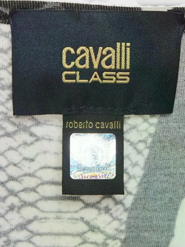 Roberto Cavalli Snakeskin Print Long Sleeve Top