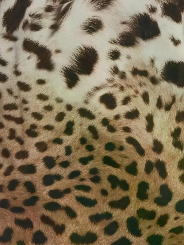 Roberto Cavalli Leopard Print Scoop Neck Midi Dress