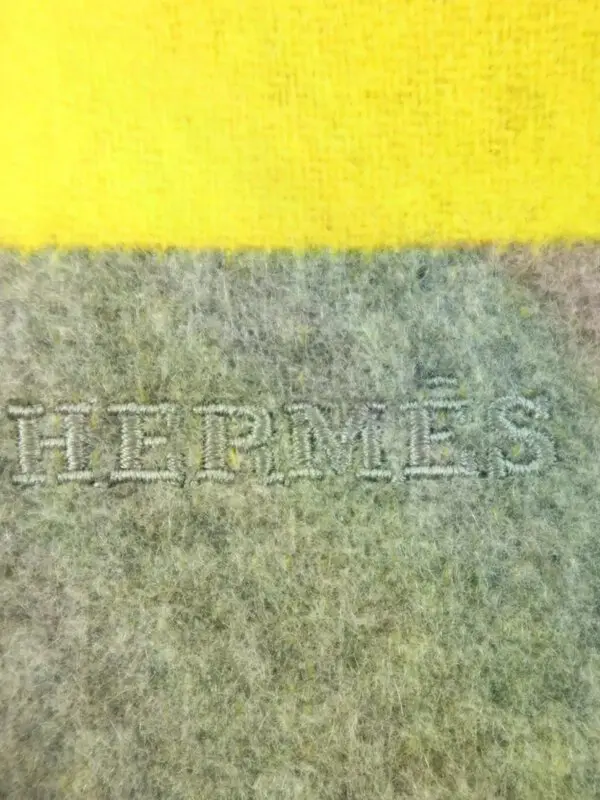 Hermès Ready Steady Go Scarf