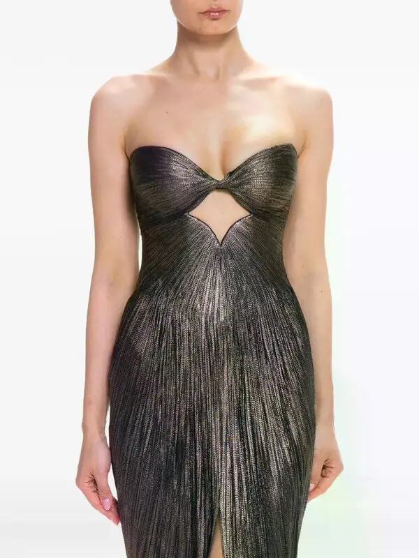 MARIA LUCIA HOHAN Stephanie Strapless Cut-out Pleated Maxi Dress - Brown