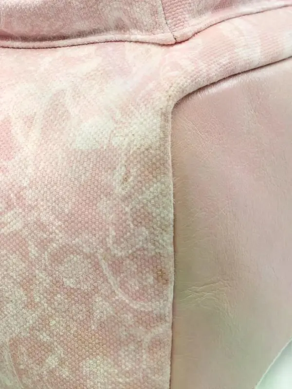 Dior 2000s Pattern Canvas Backpack