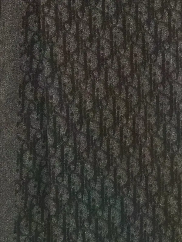 Dior Oblique Tasseled-ends Scarf