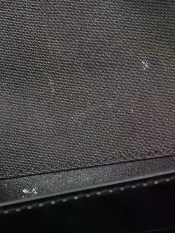 LOUIS VUITTON Louise Clutch Bag