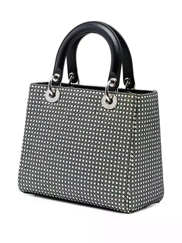 Dior Medium Calfskin Mesh Microcannage Patches Lady Satchel