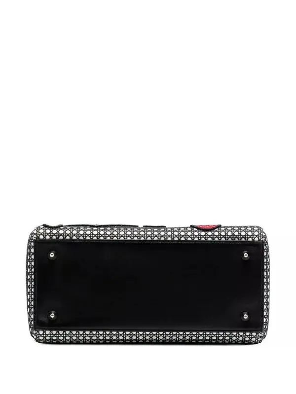 Dior Medium Calfskin Mesh Microcannage Patches Lady Satchel