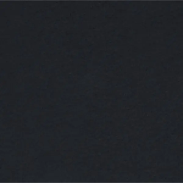 Max Mara Cotton T-shirt With Floral Appliqu - Navy