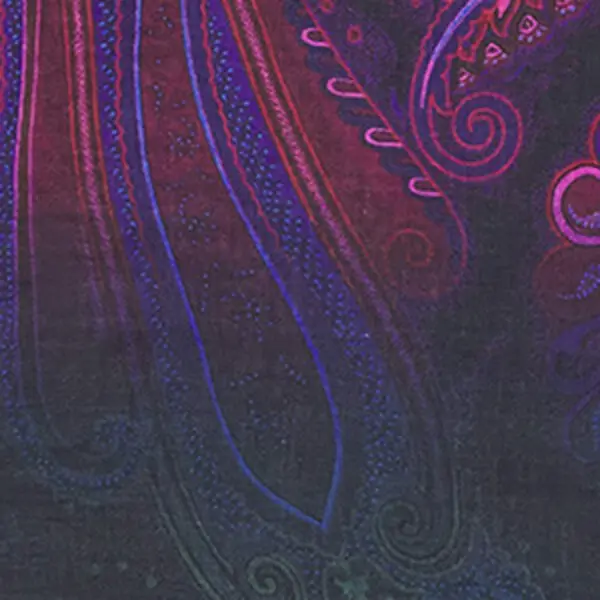 Etro Paisley Aida Shawl