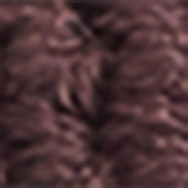 Sandro Crochet Fish Charm - Brown