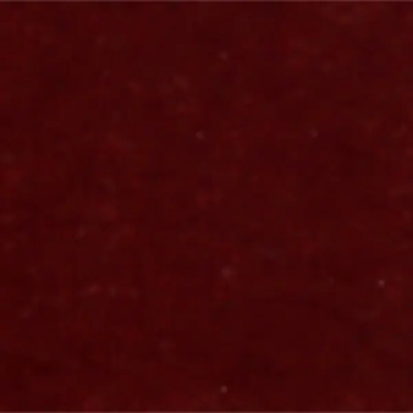 FLABELUS Velvet Mary Jane Flats