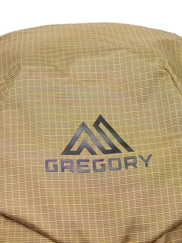 GREGORY Arrio 22l Backpack