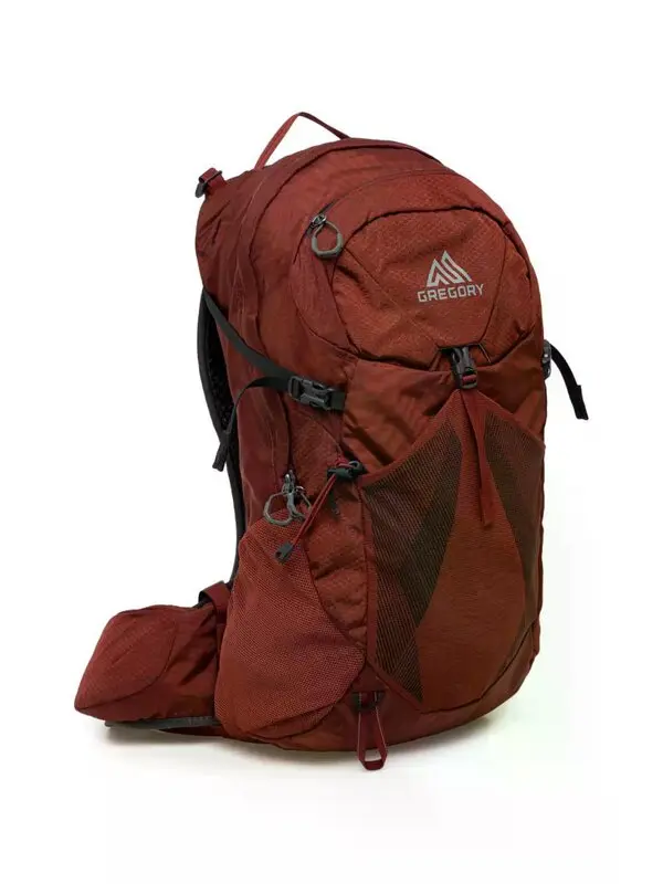 GREGORY Citro 24 Logo-print Backpack - Red