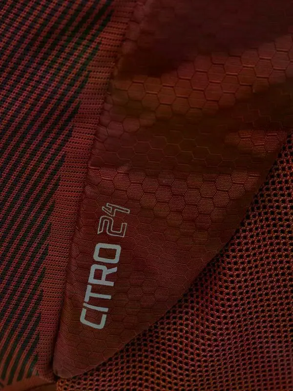GREGORY Citro 24 Logo-print Backpack - Red