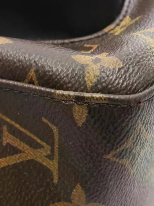 LOUIS VUITTON Monogram Macassar Backpack