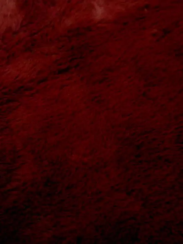 Guess Le Tapis Faux-fur Pet Mat - Red