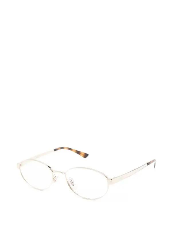 Ray-ban Oval-frame Glasses