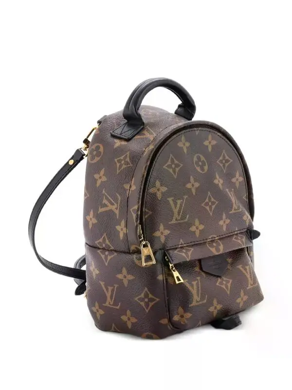 LOUIS VUITTON Palm Springs Monogram Canvas Mini Backpack - Brown