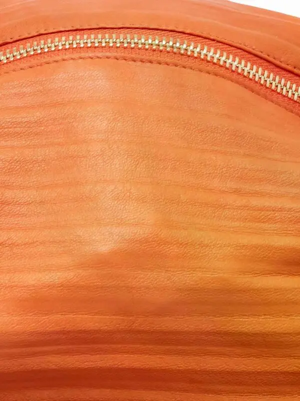 Loewe Pleated Shoulder Bag