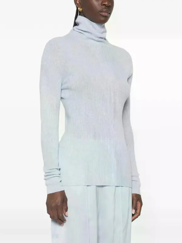 Fabiana Filippi Ribbed Knit Turtleneck Sweater
