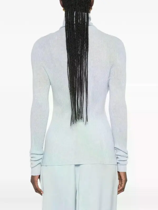 Fabiana Filippi Ribbed Knit Turtleneck Sweater
