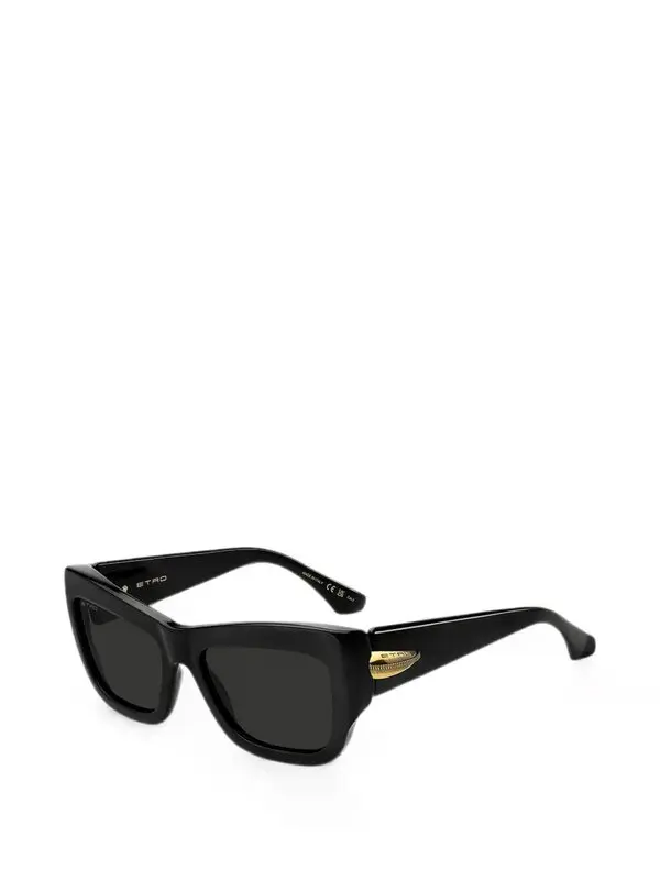 Etro And Gold Tone Cat Eye Sunglasses