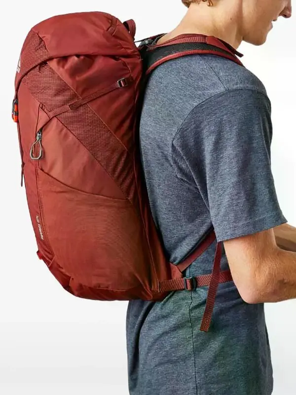GREGORY Arrio 24 Backpack