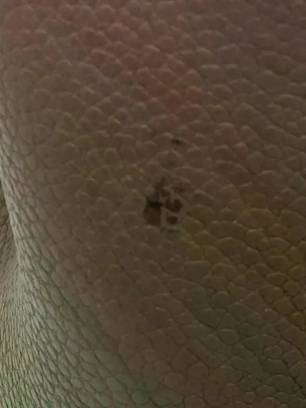 LOUIS VUITTON Montaigne Monogram Empreinte Tote Bag - Neutrals