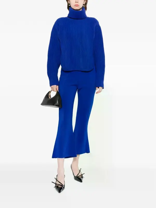 Antonio Berardi Flared Cropped Trousers