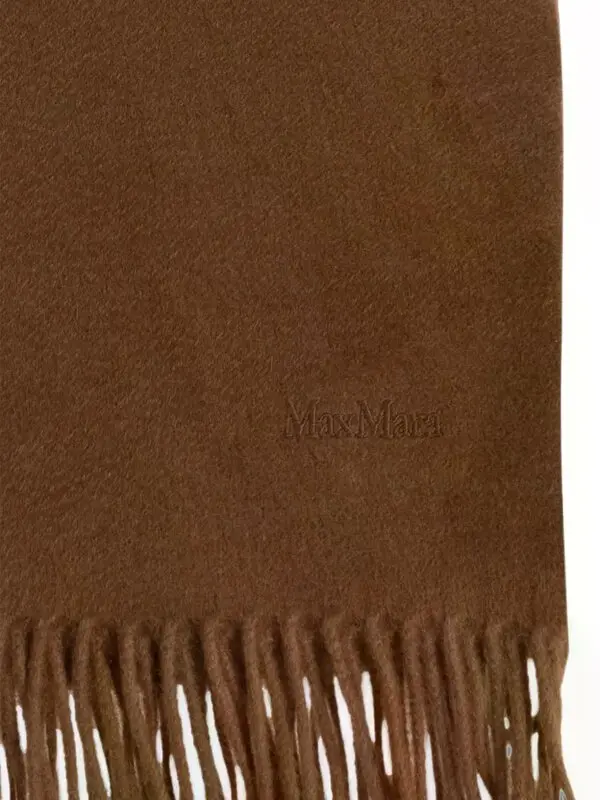 Max Mara Fringed Cashmere Scarf - Brown