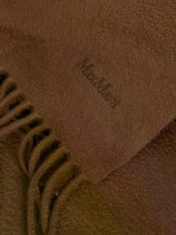 Max Mara Fringed Cashmere Scarf - Brown