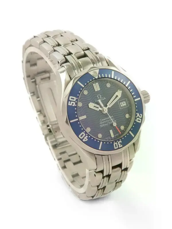 Omega Seamaster Professional 300m Watch