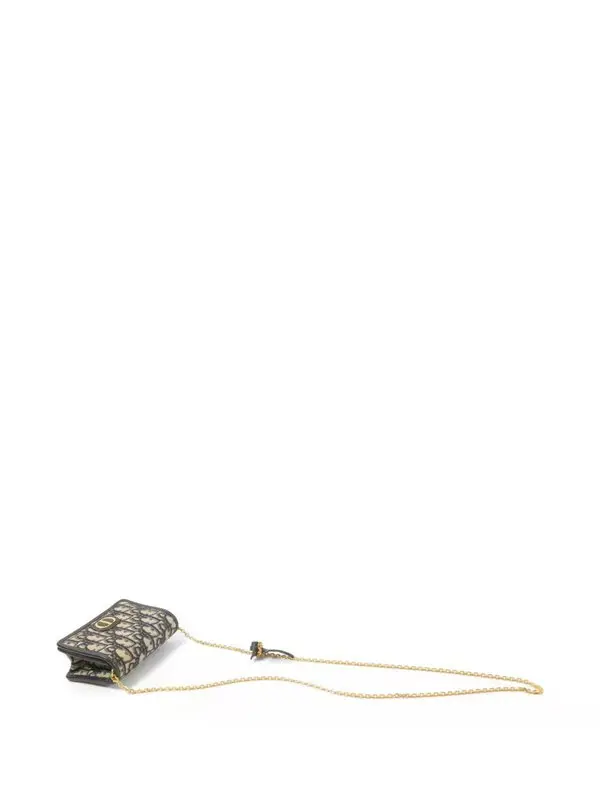 Dior 30 Montaigne Nano Shoulder Bag