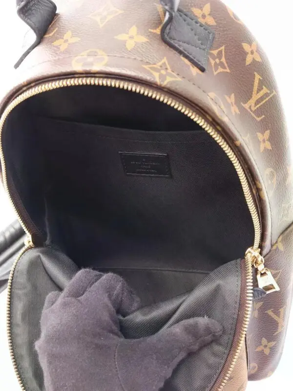 LOUIS VUITTON Monogram Reverse Palm Springs Pm Backpack - Brown