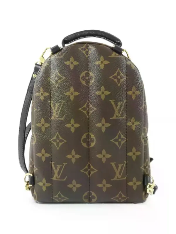 LOUIS VUITTON Palm Springs Mini Backpack - Brown