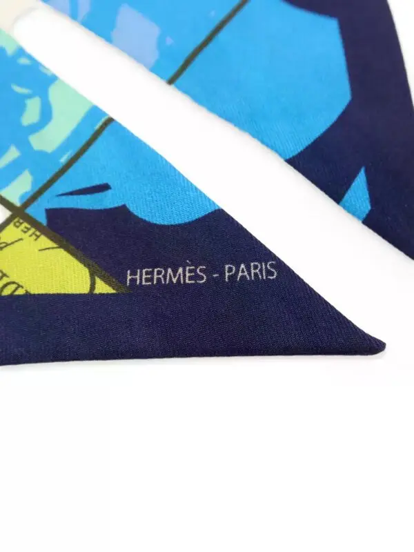 Hermès Twilly Printed Scarf