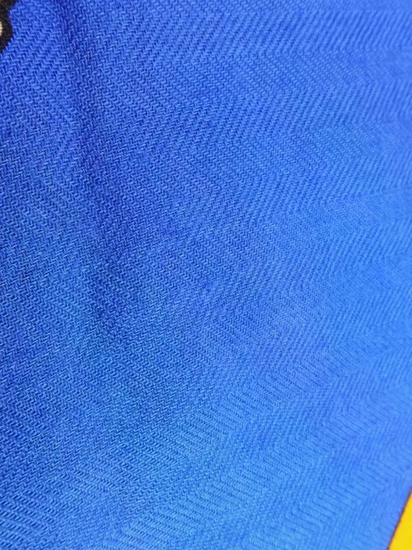 Hermès Graphic-print Scarf - Blue