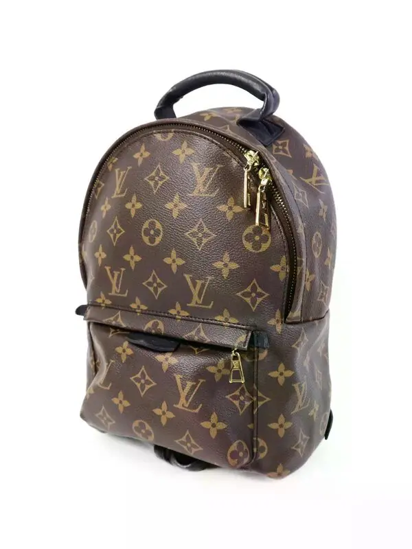 LOUIS VUITTON Palm Springs Monogram Backpack - Brown
